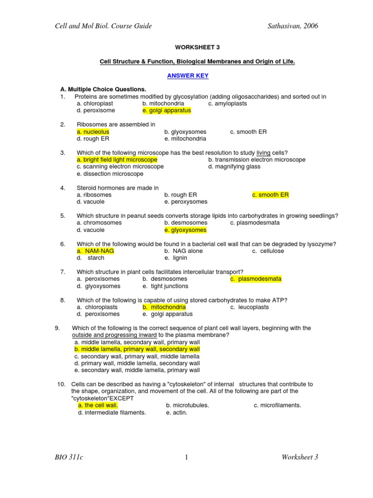 AnswerKey BIO311c Worksheet3 2006 Cells | PDF | Cell (Biology) | Cell ...