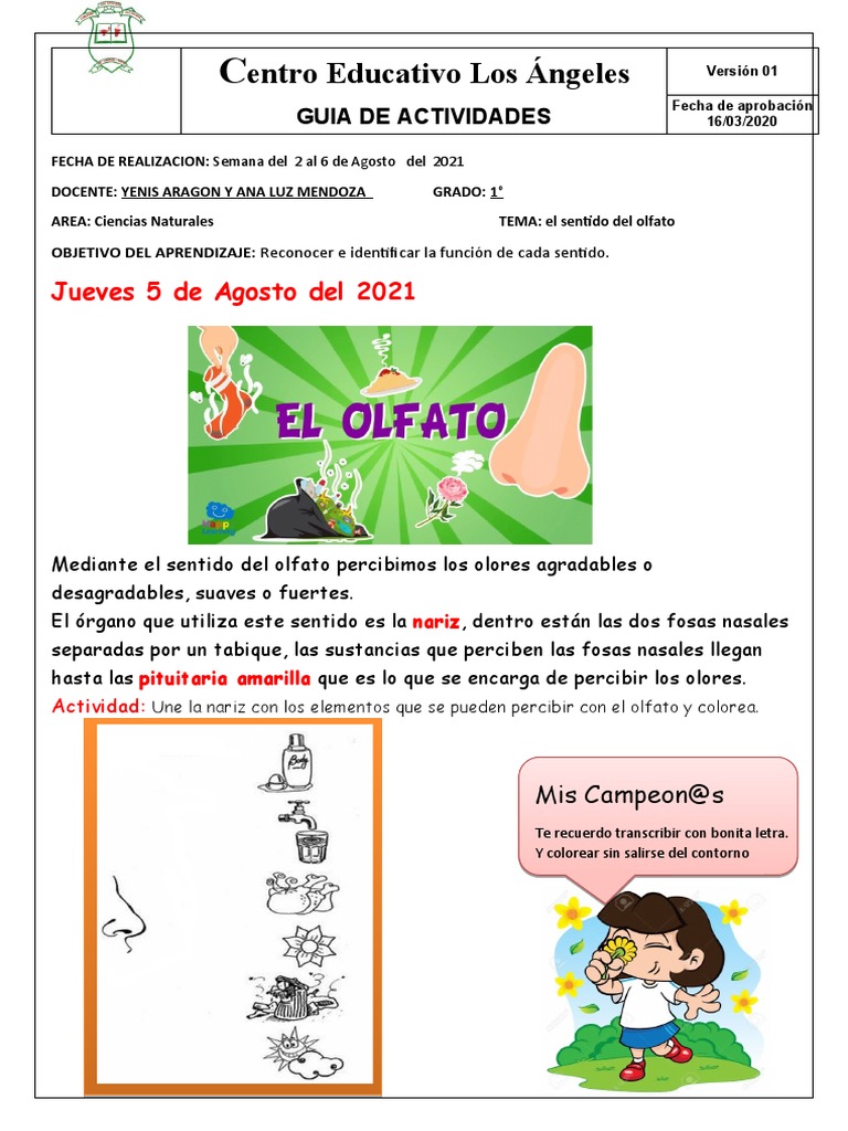 Guía de actividades sobre el sentido del olfato para el grado 1° del ...