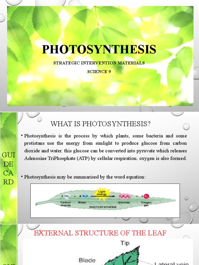 Photosynthesis: Strategic Intervention Materials Science 9 | PDF | Leaf ...