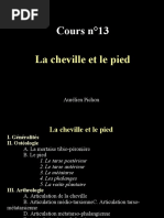 Radiographie de la cheville et du pied | PDF | Pied | Système squelettique