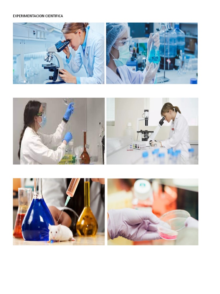 Experimentacion Cientifica | PDF