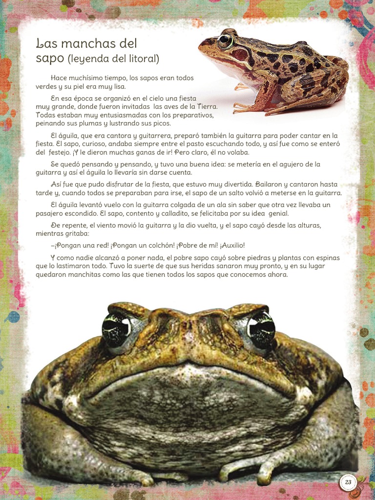 La leyenda de las manchas del sapo | PDF