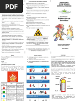 Triptico Prevencion de Incendios | PDF | Incendios | Dióxido de carbono