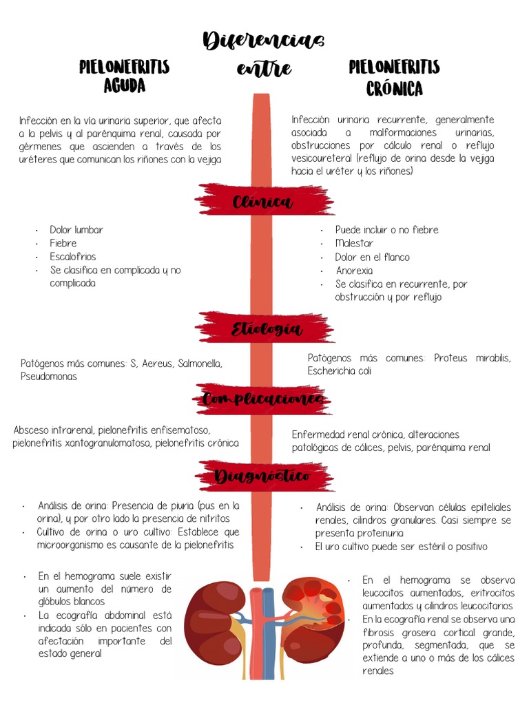 Infografia de Pielonefritis | PDF | Especialidades Medicas | Órgano ...