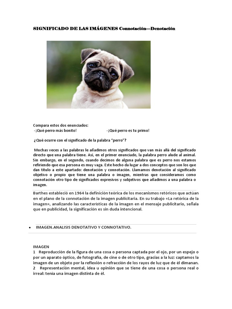 Significado de Las Imagenes Connotacion - Denotacion | PDF ...