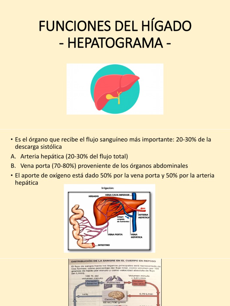 Funciones Del Hígado y Hepatograma | PDF | Hepatitis | Transaminasa