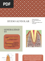 Proceso Alveolar | PDF | Hueso | Anatomía