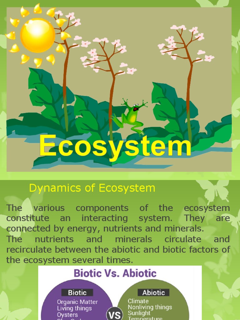 Dynamics of Ecosystem | Download Free PDF | Food Web | Ecosystem
