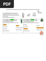 3rd Grade - Food Chain Worksheet | PDF
