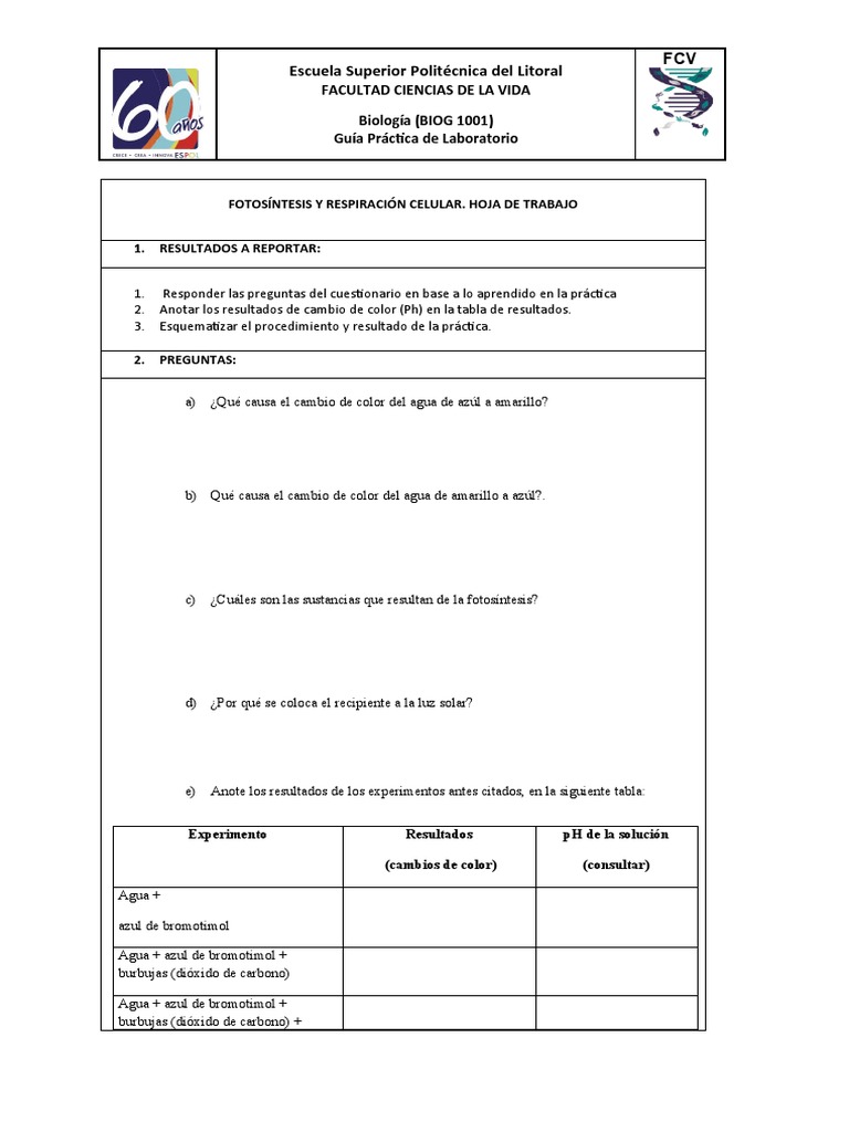 Práctica 4.1 Hoja de Trabajo Fotosíntesis y Respiración Celular | PDF ...