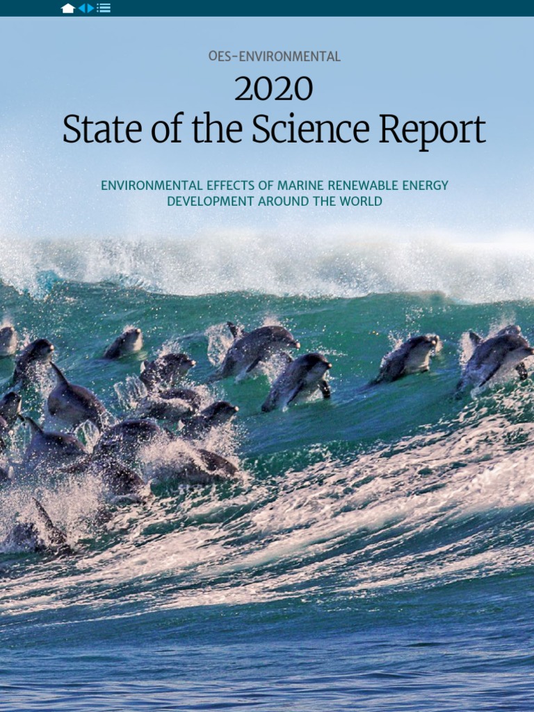 OES Environmental 2020 State of The Science Report Final | PDF | Risk ...
