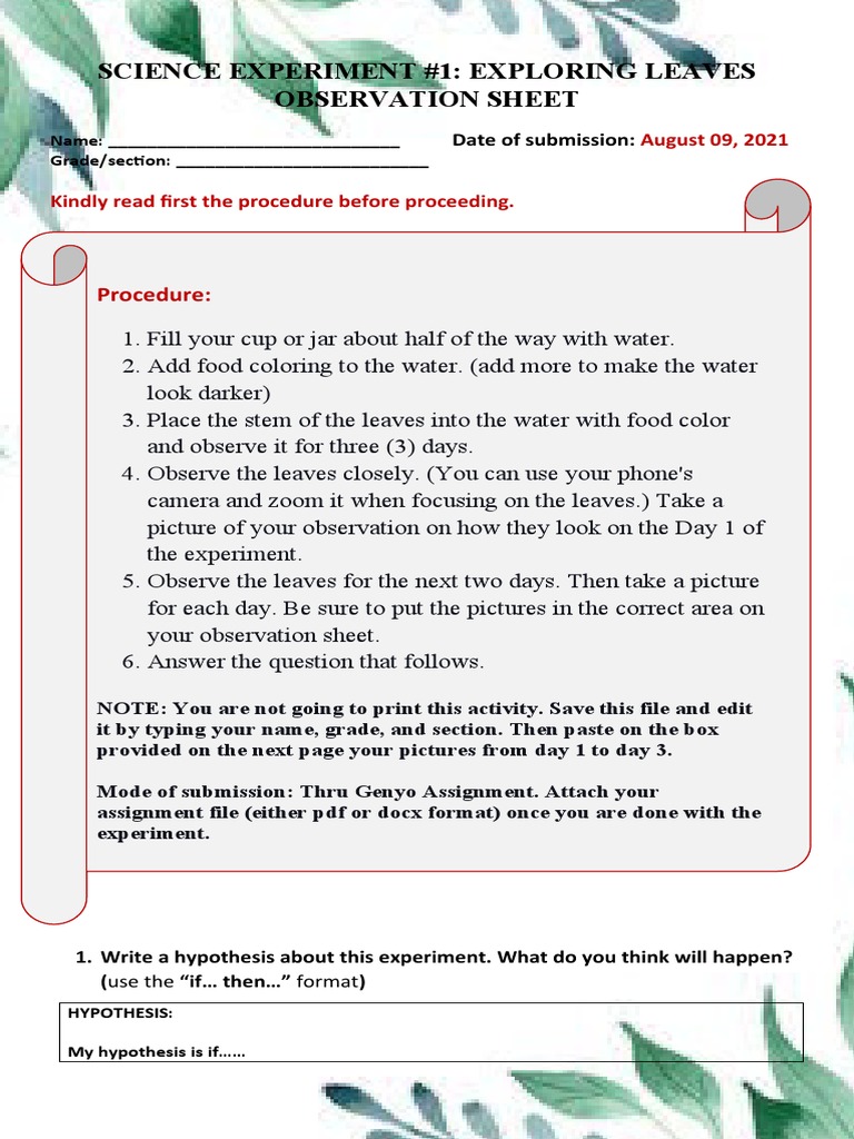 Science Experiment #1: Exploring Leaves Observation Sheet: Procedure | PDF