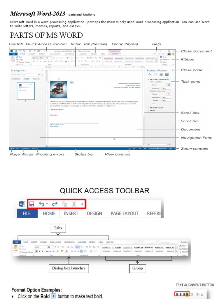 Microsoft Word 2013: Parts and Functions | PDF | Microsoft Word | Software