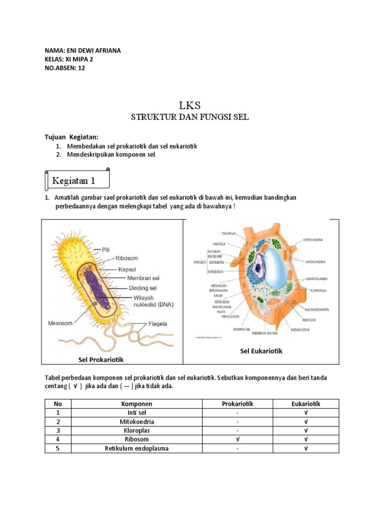 Lks Struktur Sel | PDF | Sains & Matematika