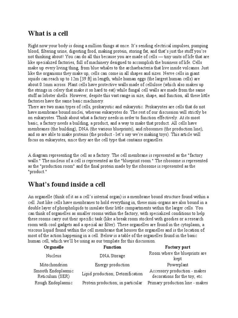 What Is A Cell: Organelle Function Factory Part | PDF | Endoplasmic ...