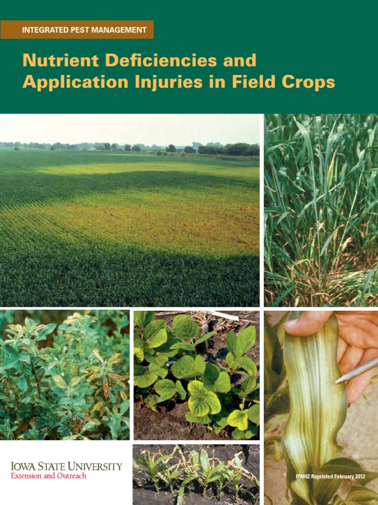 Nutrient Deficiencies Crops | PDF | Plant Nutrition | Soil