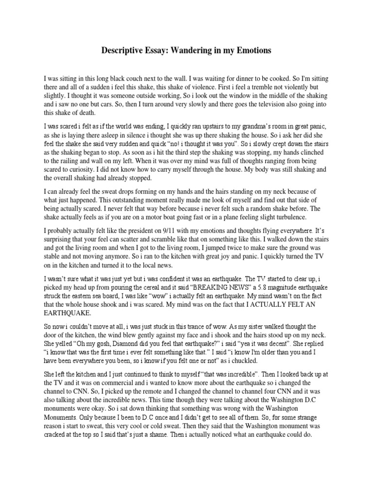 Descriptive Essay Example About Emotions | PDF | Mystery, Thriller ...
