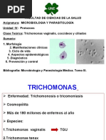 Alteraciones Morfológicas de Los Eritrocitos | PDF | Medicina CLINICA ...