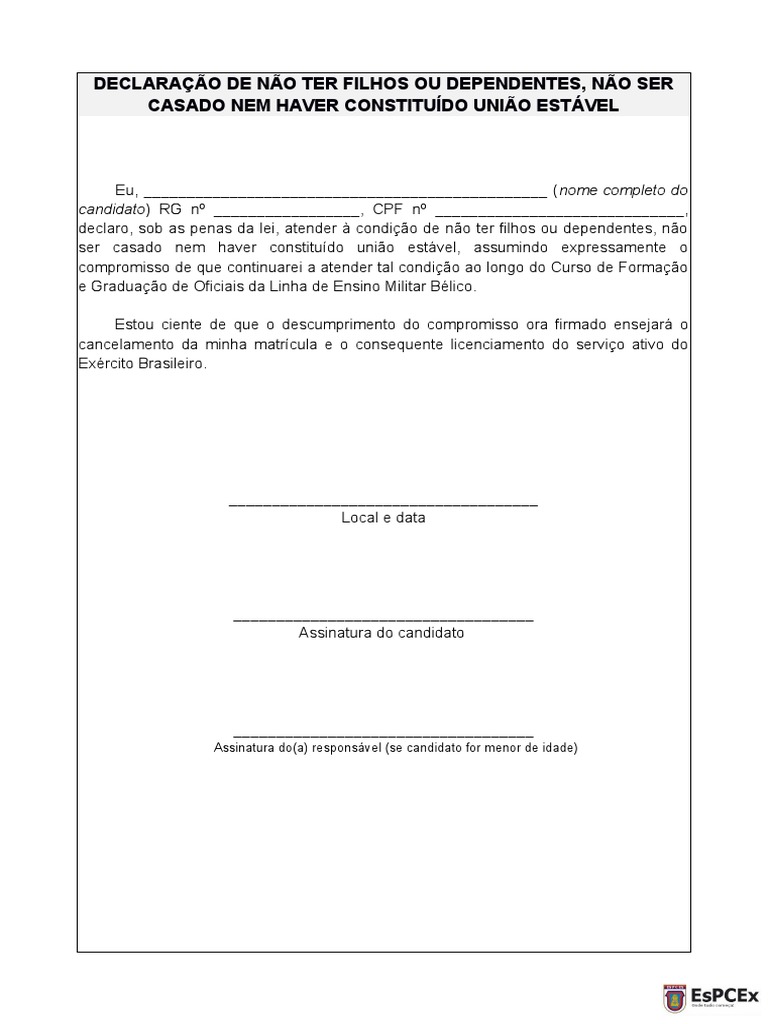 08 Modelo Editavel de Declaracao de Nao Ter Filhos e Nao Ser Casado | PDF 08 Modelo Editavel de Declaracao de Nao Ter Filhos e Nao Ser Casado | PDF