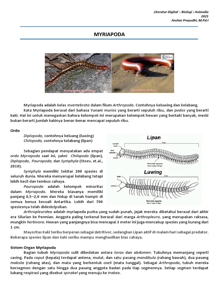 Ciri dan Struktur Myriapoda | PDF