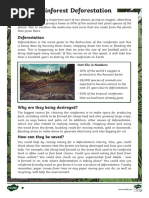 Deforestation Webquest | PDF