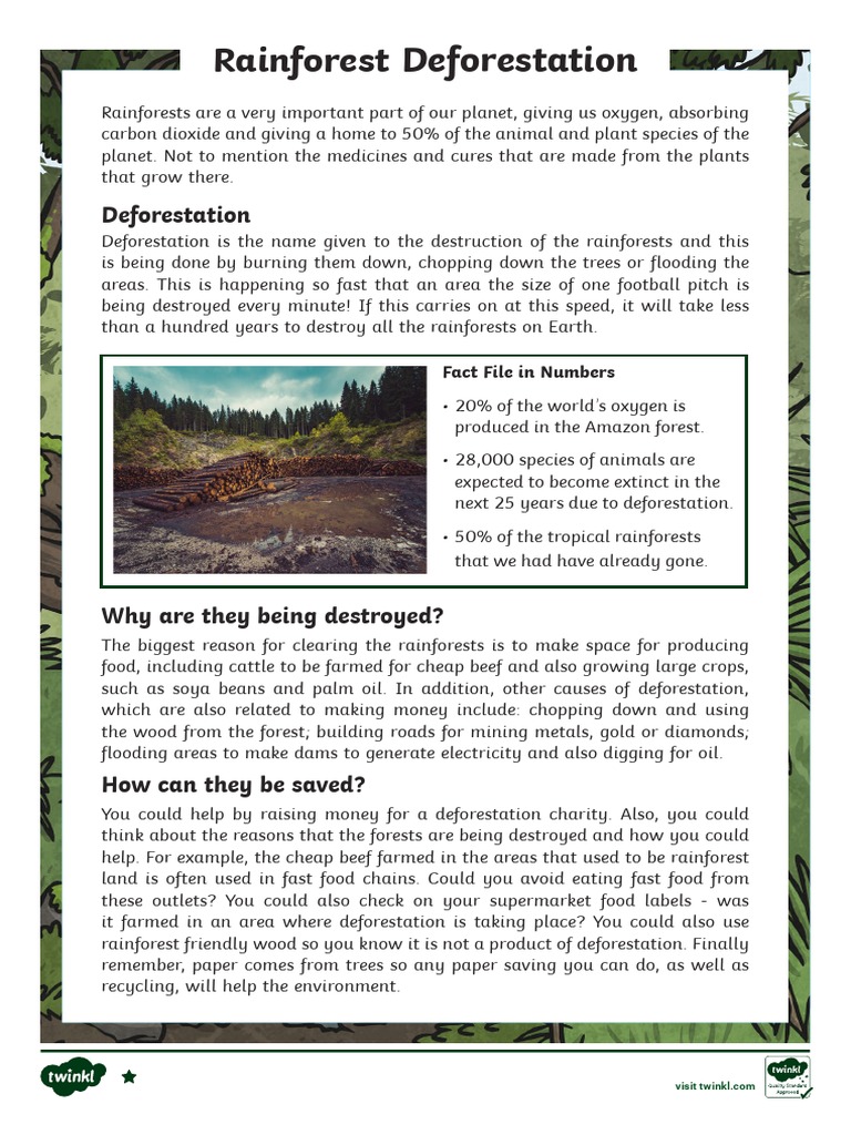 Rainforest Deforestation Student Worksheet | PDF | Rainforest ...