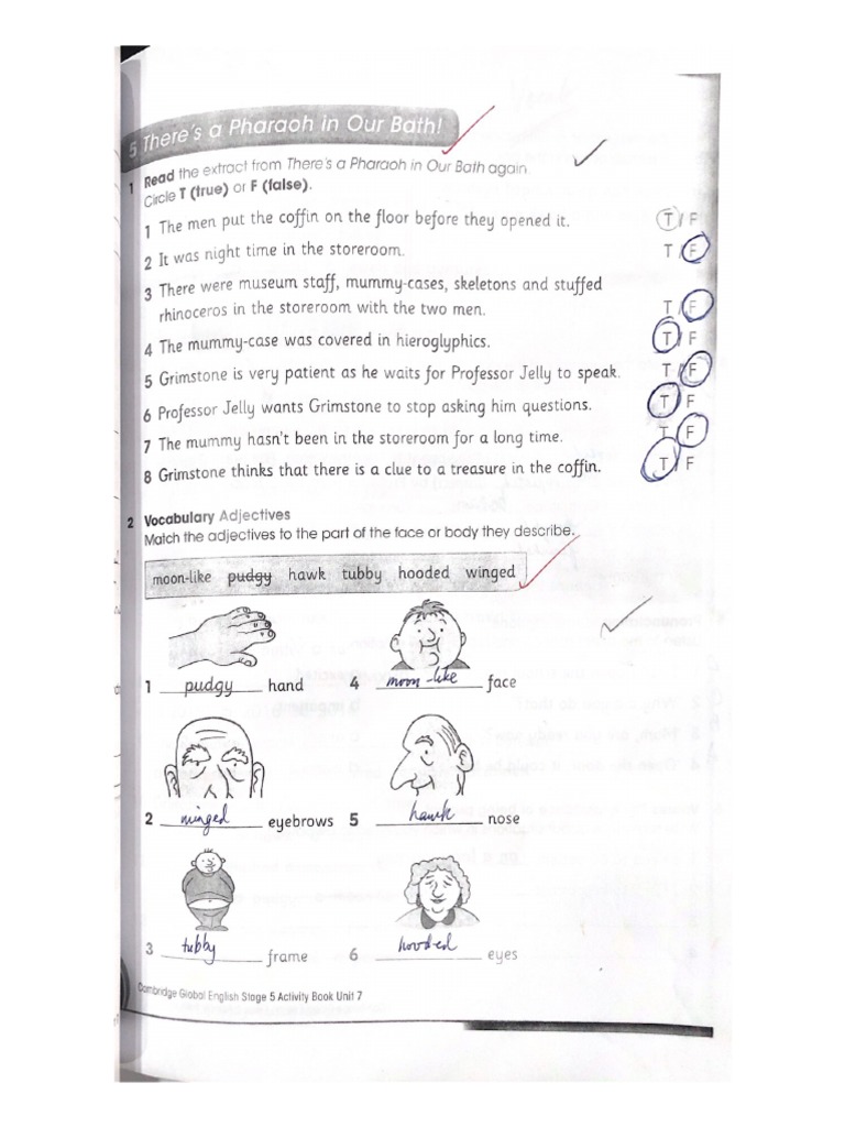 U7-L5 There - S A Pharaoh in Our Bath! | PDF