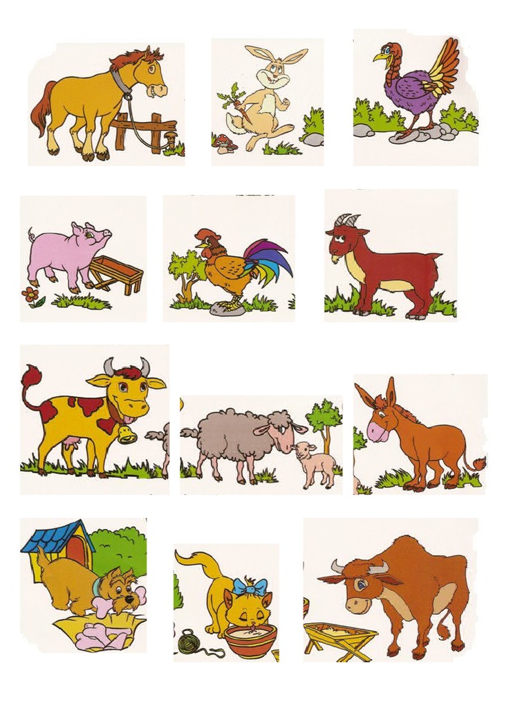 Animale Domestice Poze Dezmembrate | PDF