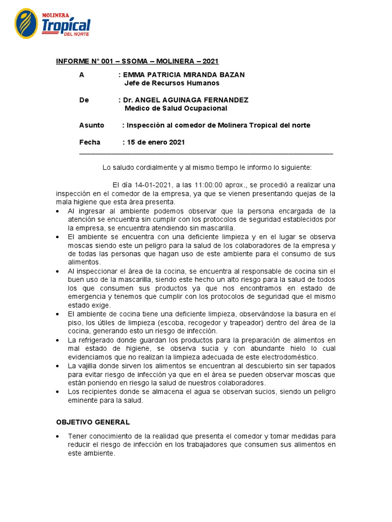 Informe Del Comedor 1 | PDF | Alimentos | Cocina