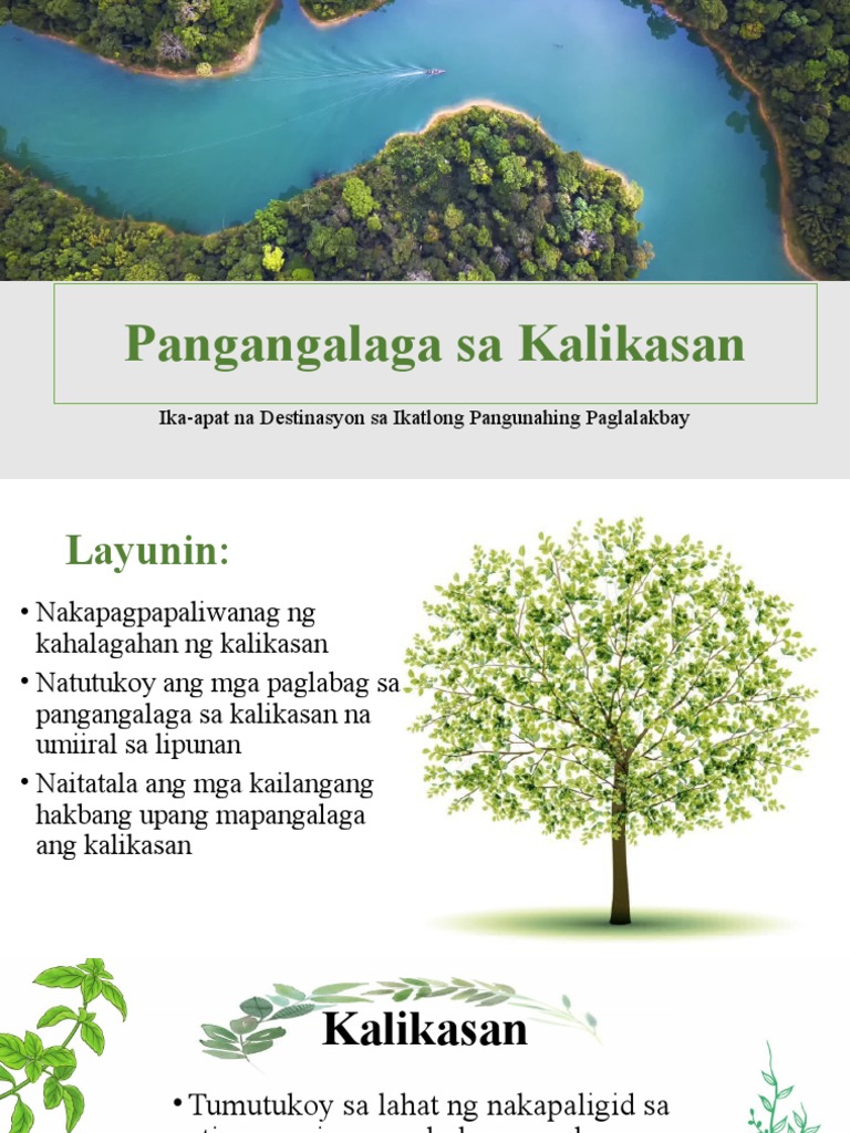 Pangangalaga NG Kalikasan | PDF