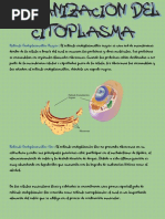 Endosomas: Función y Biogénesis | PDF | Membrana celular | Histología