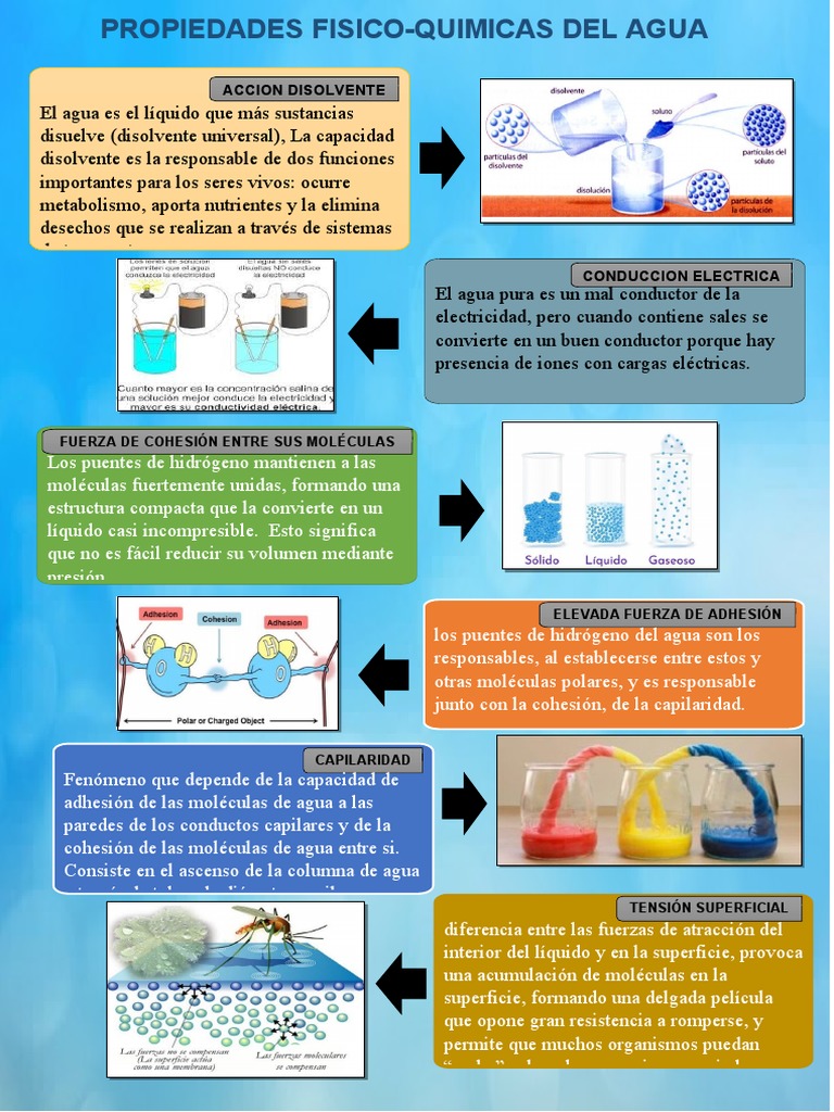 Infografia 2 Del Agua | PDF | Propiedades del agua | Ciencias fisicas