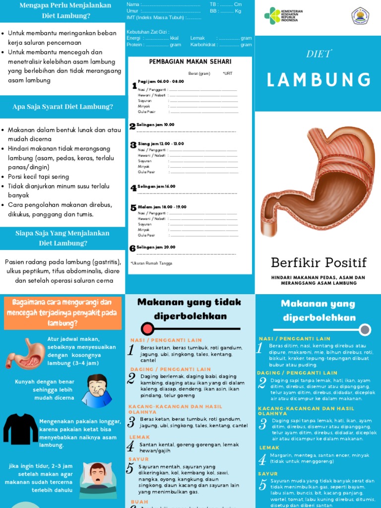 Diet Lambung Leaflet | PDF