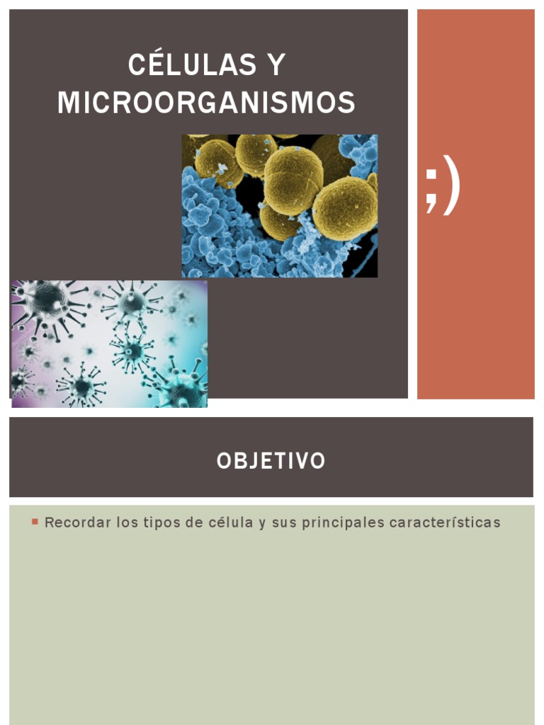 Septimo Básico Tipos de Celula | PDF | Biología Celular) | Citoplasma