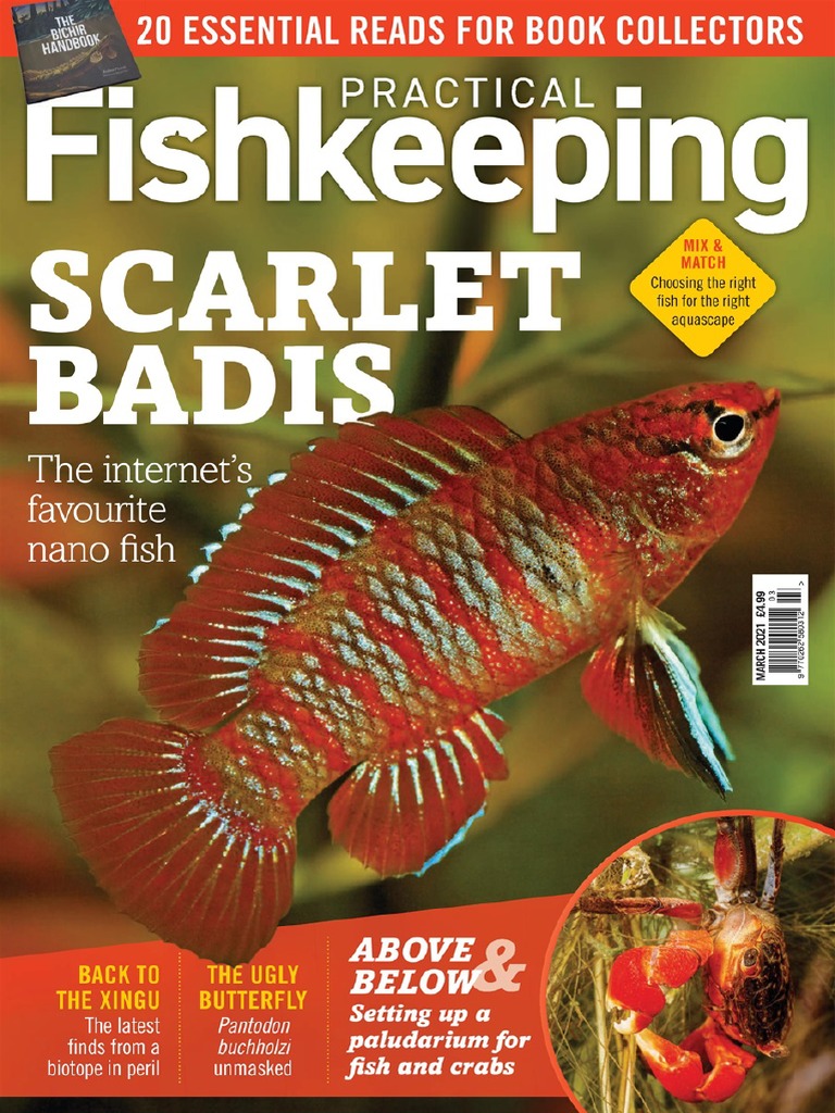 Practical Fishkeeping - March 2021 | PDF