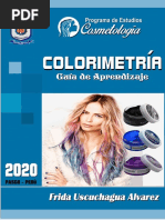 Tabla de Colorimetría del Cabello | PDF | Pelo | Pigmento