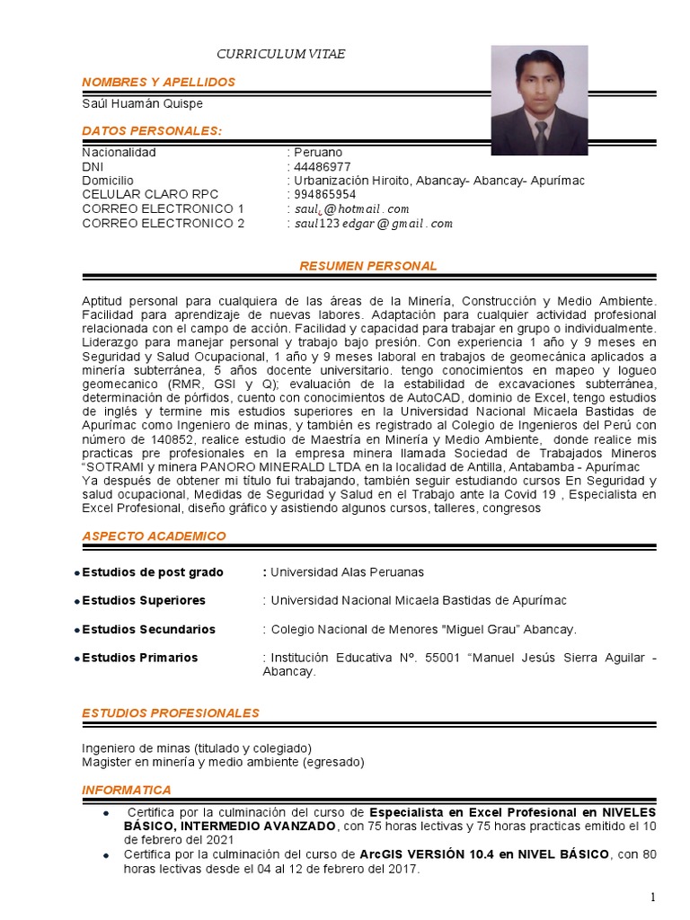 CURRICULUM VITAE Saúl | PDF | Minería | Perú
