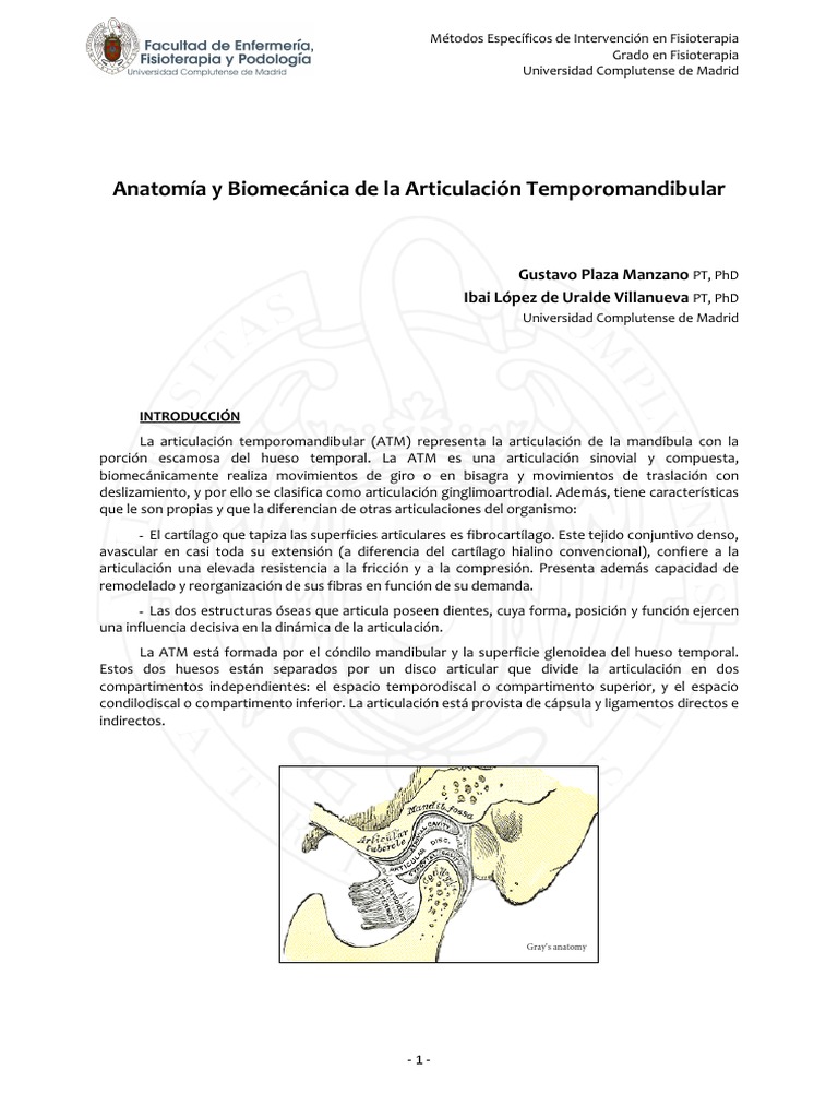 ATM. Anatomía y Biomecánica | PDF | Articulación | Cabeza y cuello humanos