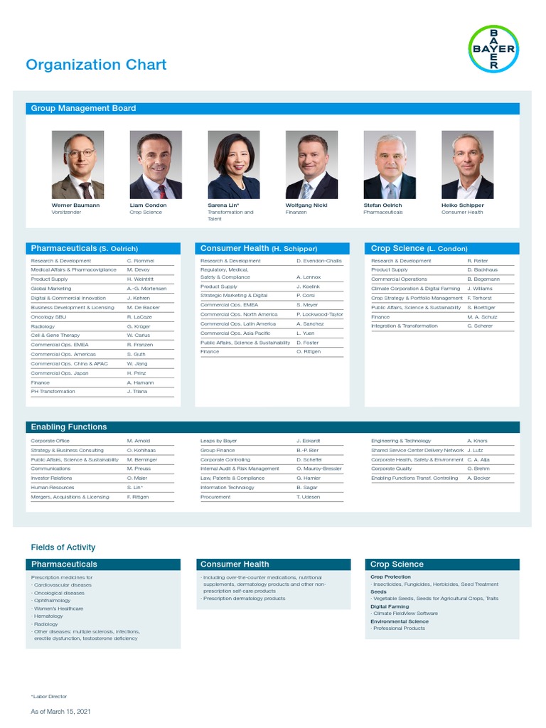Bayer Organizational Structure Overview | PDF | Prescription Drugs ...
