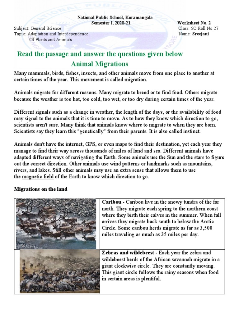 Read The Passage and Answer The Questions Given Below Animal Migrations ...