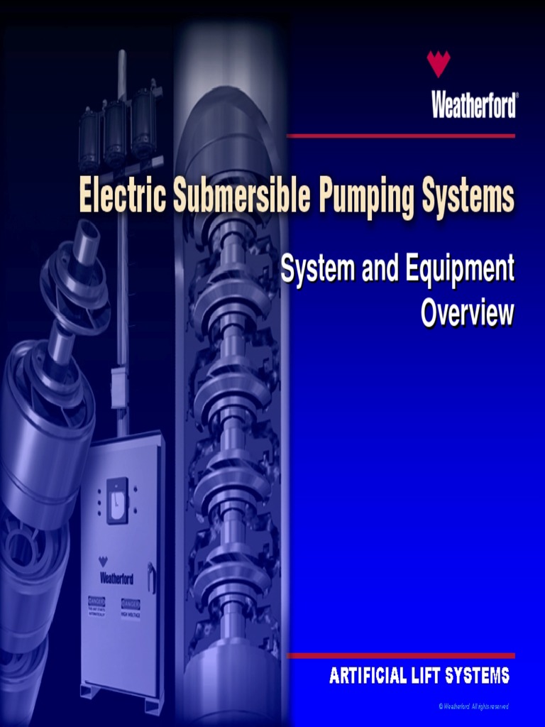 ESP Systems Equipment | PDF | Pump | Electric Motor