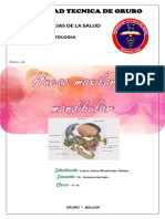 1 Region Superciliar | PDF | Cráneo | Anatomía humana
