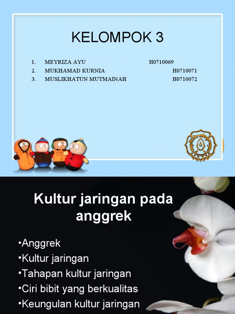 Kultur Jaringan Pada Anggrek | PDF | Orang | Hiburan (Umum)