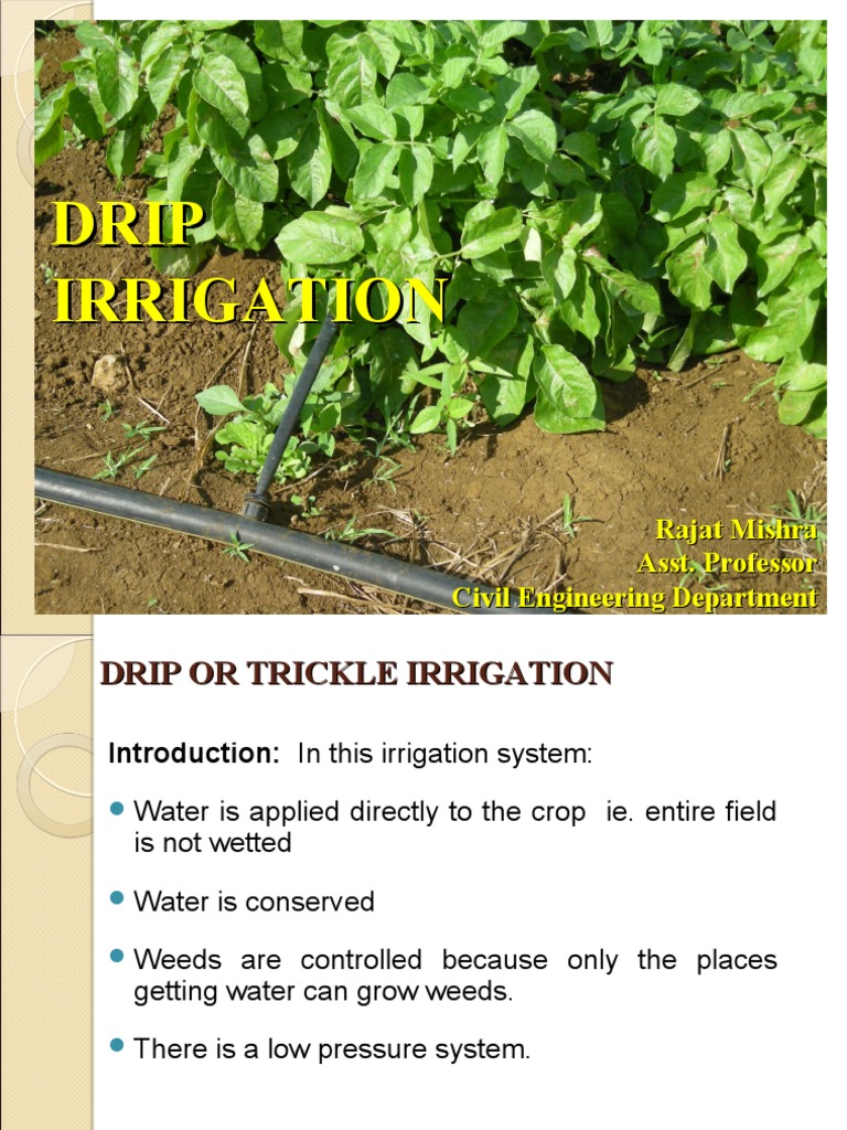 05 Drip Irrigation | PDF | Irrigation | Soil