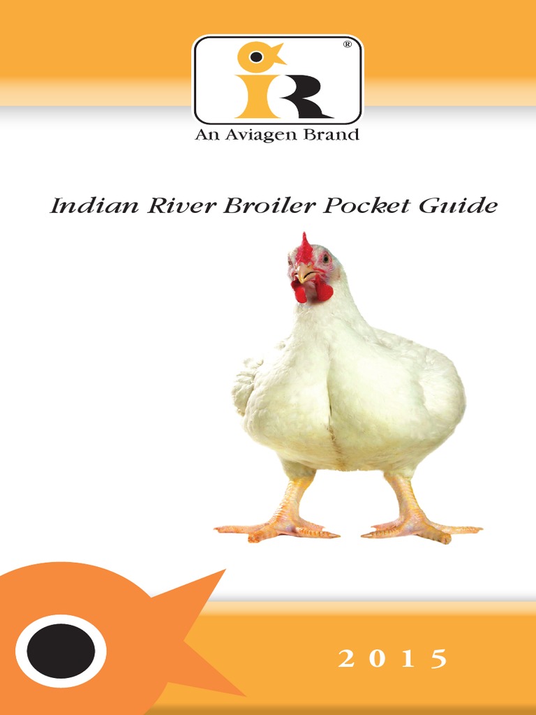 Indian River Broiler Pocket Guide: An Aviagen Brand | PDF | Broiler ...