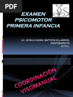 Evaluación Psicomotriz de Pierre Vayer | PDF