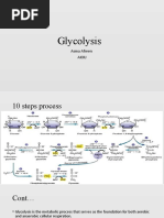 Glycolysis Pathway | PDF | Glycolysis | Cellular Respiration