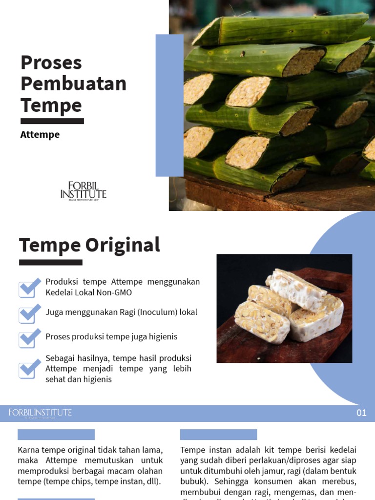 Proses Pembuatan Tempe | PDF