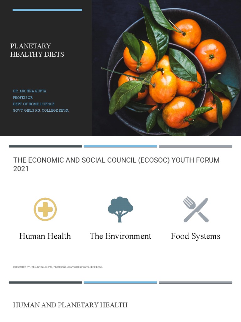 Planetary Health Diet Plate Guide | PDF | Foods | Healthy Diet
