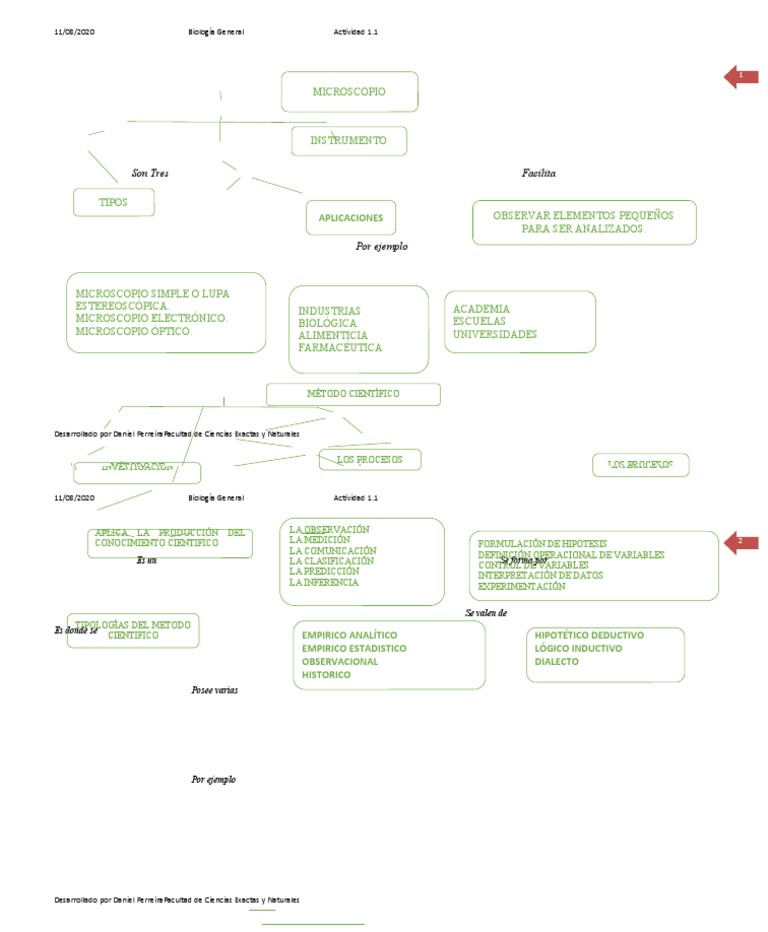 Mapas Conceptuales: El Método Científico y El Microscopio | PDF ...